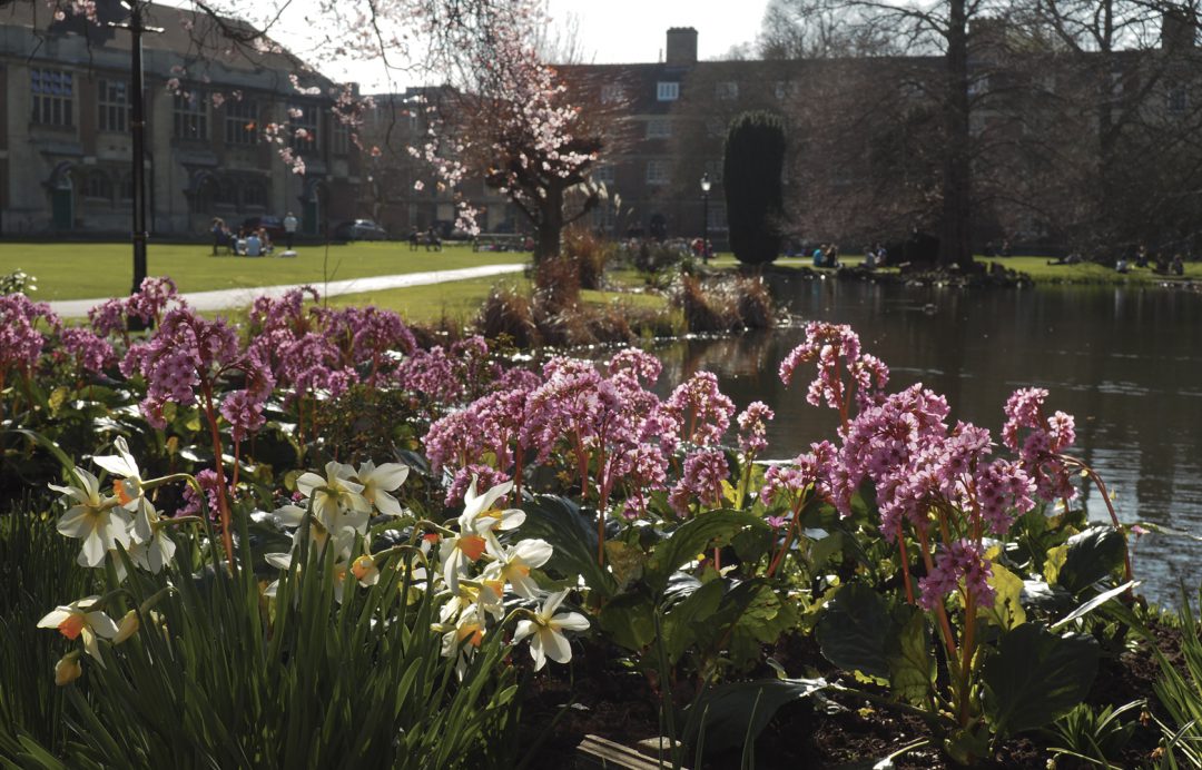 Emmanuel College Cambridge - home is here